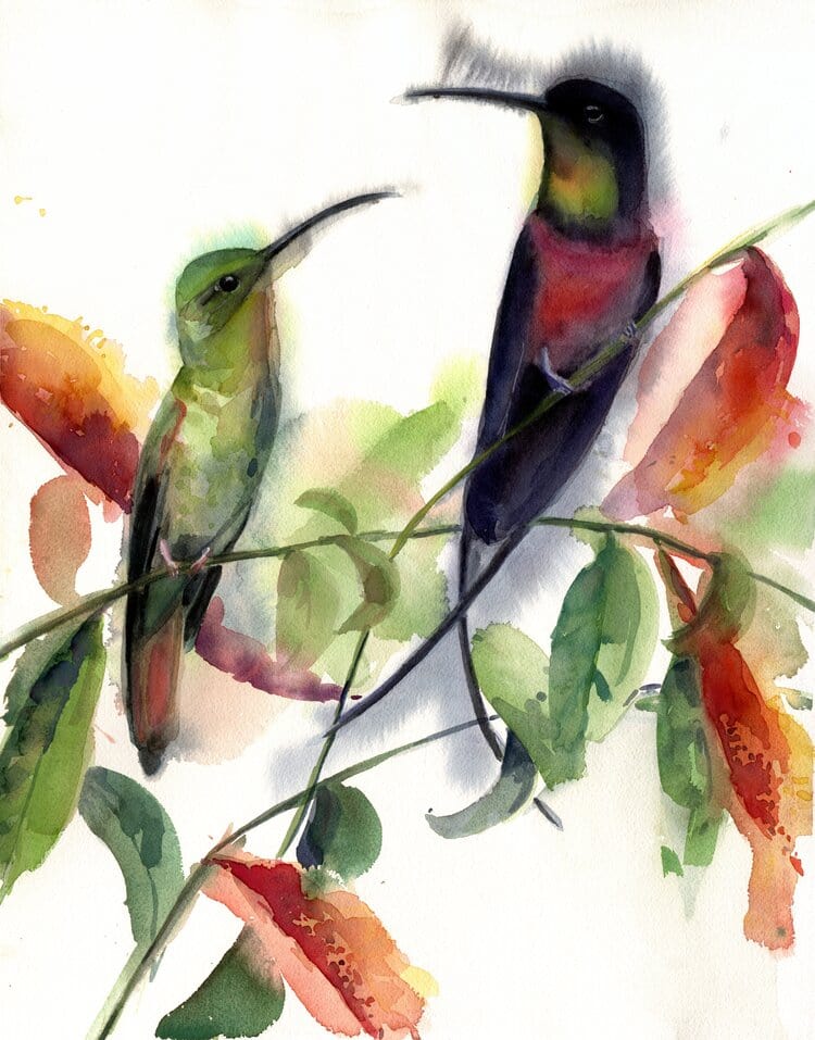Crimson Topaz Hummingbird Pair Watercolor | Holly Wach – Holly Wach Art