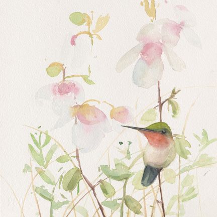 Hummingbird Watercolor Print — Patience | Holly Wach – Holly Wach Art