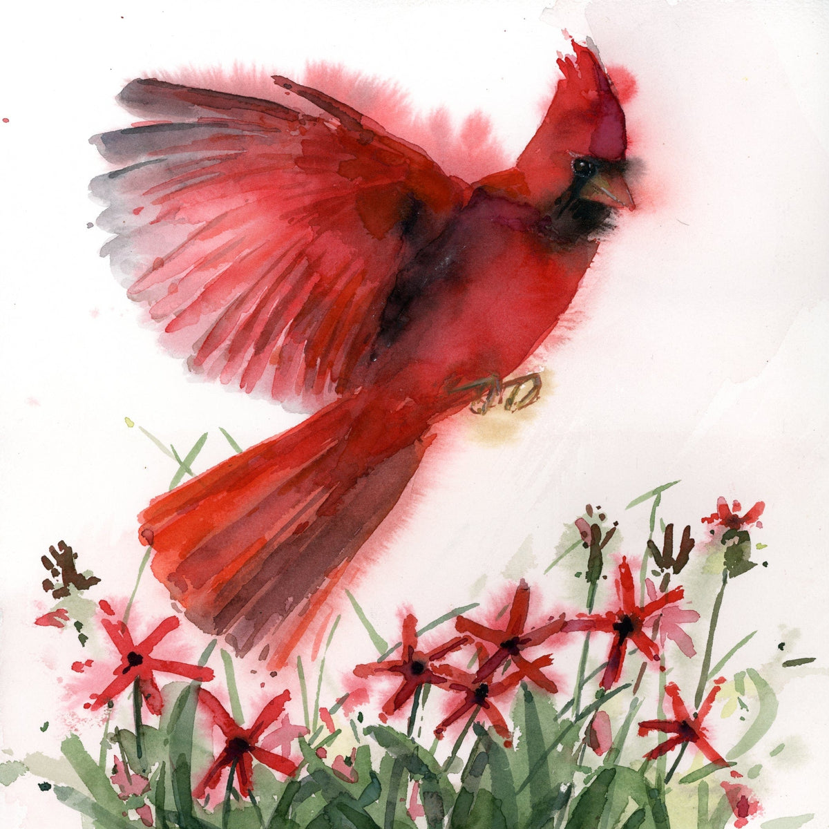 Cardinal in Red Wildflowers ~ Holly Wach ~ Songbird Watercolor Prints ...